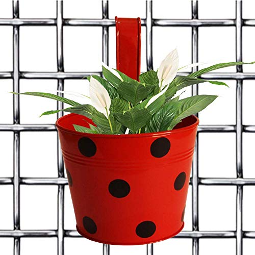 Bingo Pot- Round Dotted Railing Planter- RED : Amazon.in: Garden & Outdoors