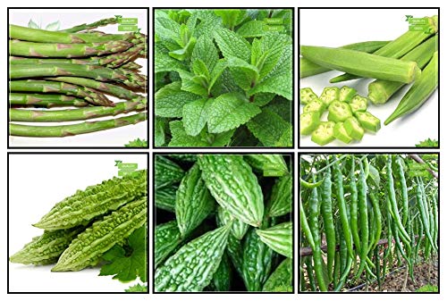Creative Farmer Seeds Combo Herb Seeds & Vegetable Seeds : Bhindi (Arka ...