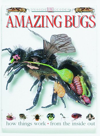 Amazing Bugs (Inside Guides): MacQuitty, Miranda: 9780789410108: Amazon ...