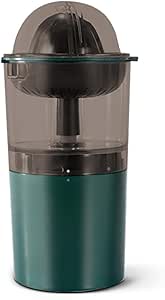 YXRRVING 250ml Electric Lemon Juicer Portable Orange Mixer Mini Juice ...