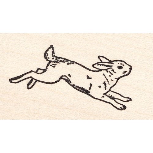 Amazon.com: Running Bunny Rabbit Rubber Stamp : Arts, Crafts & Sewing