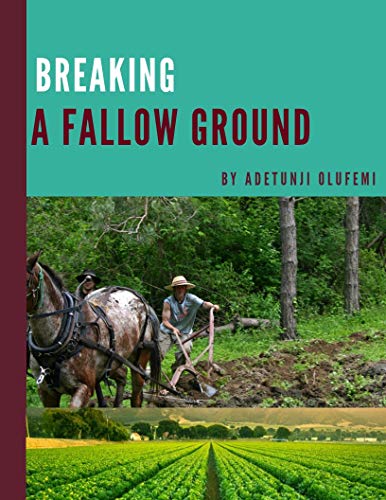 Amazon.com: Breaking a Fallow Ground eBook : Adetunji, Olufemi: Kindle ...