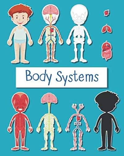 Human Body Systems For Kids