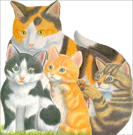 Animal Babies: Cuddly Kittens: Emma Books Ltd, Bampton, Bob ...