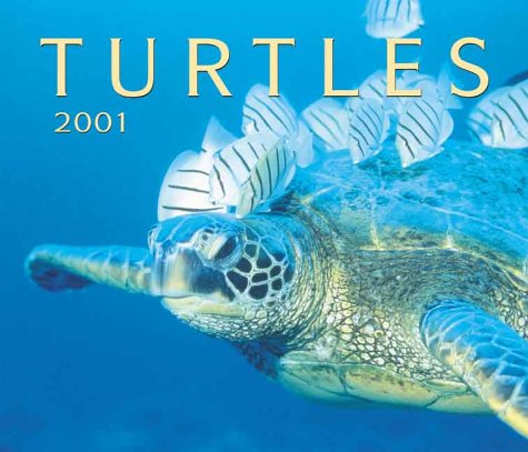 Turtles 2001 Calendar: Firefly Books: 9781552970362: Amazon.com: Books