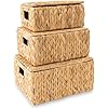 Amazon.com: Wicker Storage Baskets with Lid, Set 3 Basket With Lid ...