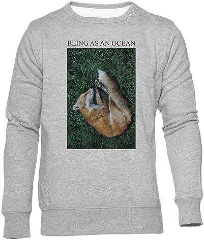 Being As An Ocean Fox