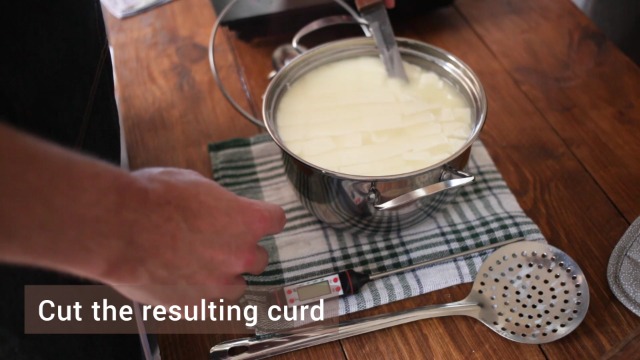 Watch Premium Cheese Making Kit Hard Cheese Mold on Amazon Live