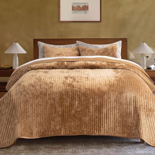 Amazon.com: EVERGRACE Luxury Velvet Quilt Queen Size, Ultra Soft Velvet ...