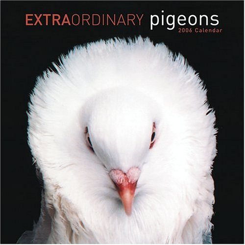 Amazon | Extraordinary Pigeons 2006 Calendar | Green-Armytage, Stephen ...