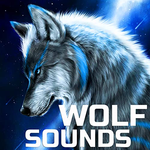 Play Wolf Sounds by Wolf Sounds, Nature Sounded & Animal Planet FX feat ...
