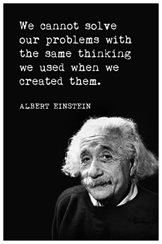 Green Panda Albert Einstein Genius Motivational Quotes Multicolour ...