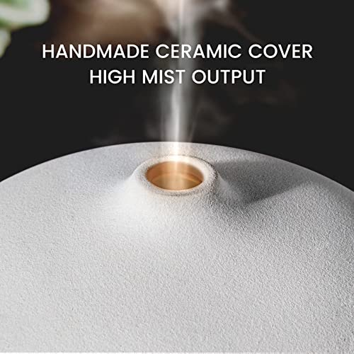 The 6 Best Wanlola Diffusers of 2024 [Verified] - Cherry Picks