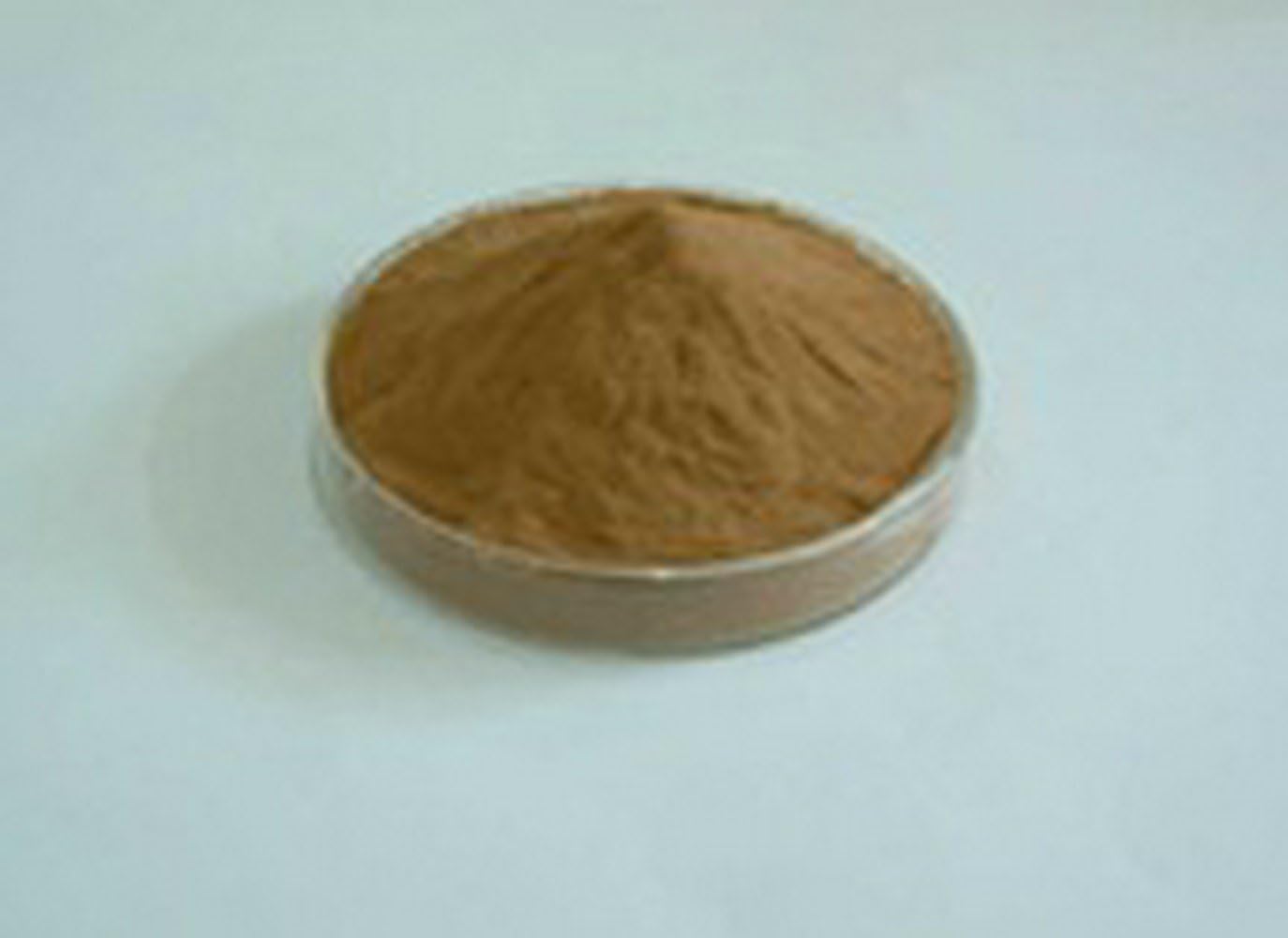 Amazon.com: WonderLand Herbs lentinus edodes Shiitake Lentinan Powder ...