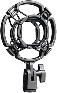 Universal Condenser Microphone Shock Mount, Professional Mic Holder Broadcasting Studio ...