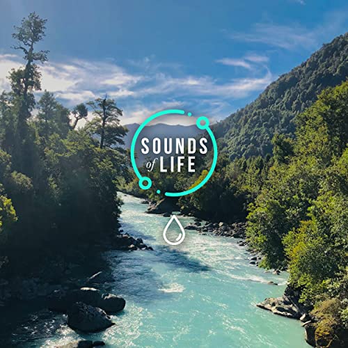 Amazon Music - Sounds Of LifeのRiverside Sounds for Relaxation ...