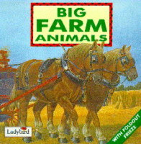 Big Farm Animals (First Discovery Series) : Harper, Don, Massey, Peter ...