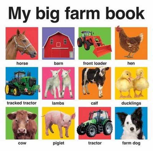 My Big Farm Book (My Big Board Books): Roger Priddy: 9781849154246 ...