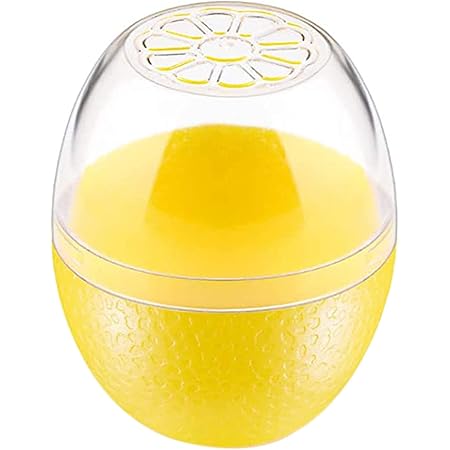 Amazon.com: DIMVKA Lemon Storage Containers Lime Saver Fresh Keeper ...