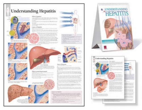 Understanding Hepatitis Study Set (Patient Education Study Sets ...