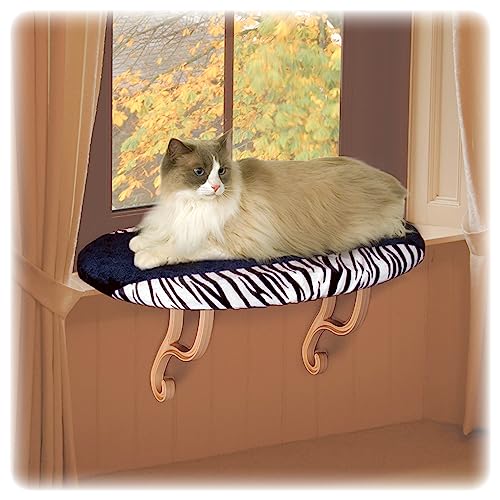 The 25 Best Cat Window Perches and Beds - Cat Life Daily