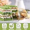 Gatphy 5Pcs Ceramic Matcha Bowl Set Japanese Matcha Whisk Set Ceramic ...