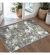 Amazon.com: Area Rug Living Room Rugs: 5x7 Washable Rug with Anti-Slip ...