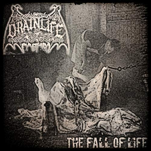 Amazon.co.jp: The Fall of Life (20th Anniversary Remastered Demo ...