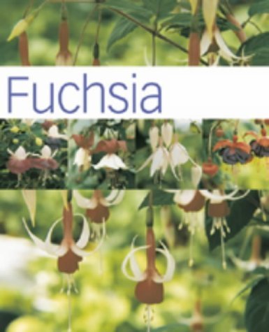 Fuchsia: David Clark: 9780600603399: Amazon.com: Books