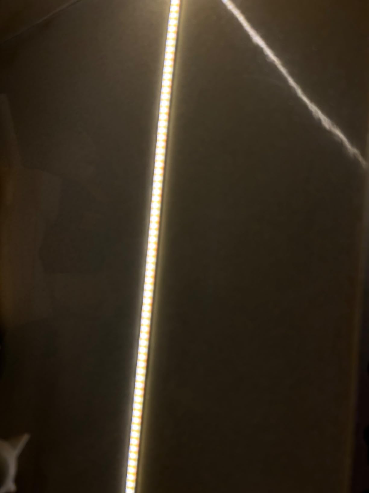 Amazon.co.jp: 【RYE】 COB テープライトLEDストリップライトフレキシブル 幅5mm 高密度 隠れたLEDテープライト1m 320LEDs/m 白光色6000K DC12V ...