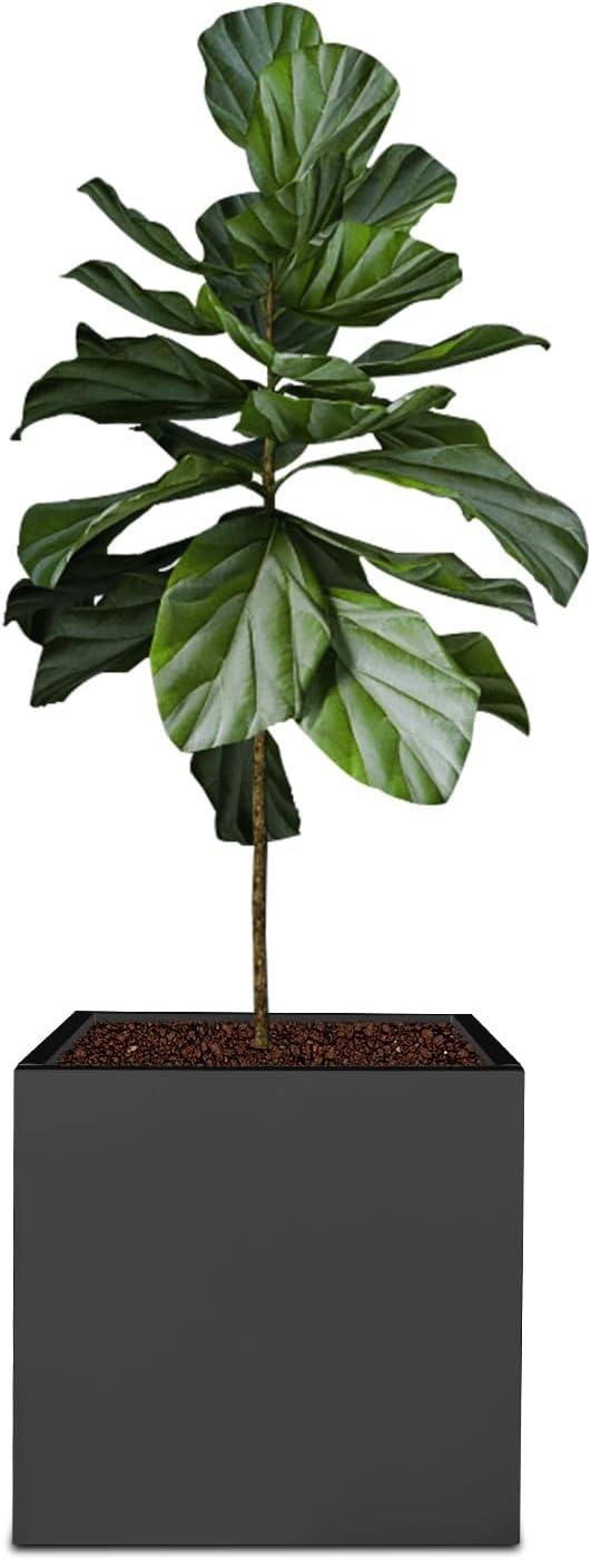 20 Inch Cube Planter Box, Indoor and Outdoor Steel Philippines | Ubuy