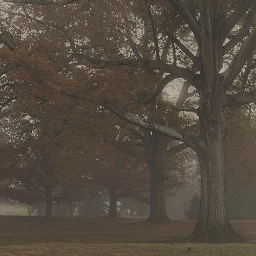 Amazon.co.jp: ghost : Martin The Hoax: Digital Music