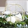 Amazon.com: 3D Geometric Himmeli Centerpiece & Hanging Ornament, Chrome ...