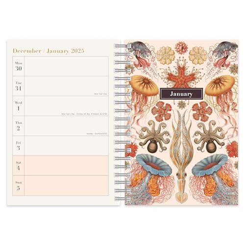 Portico Designs Ltd 2025 Archive Oceans Sealife A5 Wiro Diary – BigaMart