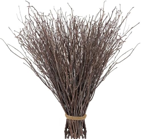 Amazon.com: 40Pcs Real Dried Birch Twigs - 17" Natural Decorative Birch ...