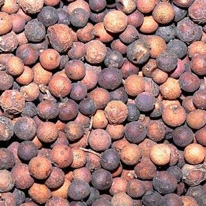 Vs Products Neermulli Hygrophila Auriculata Marsh Barbel Kokilaksha ...