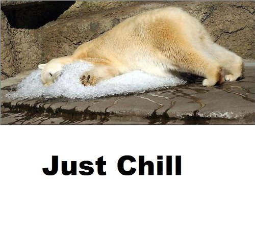 Just Chill - Kindle edition by Rhoads, Carol. Religion & Spirituality ...