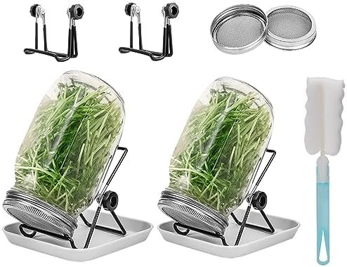 Amazon.com: Complete Mason Jar Sprouting Kit - 2 Wide Mouth Quart ...