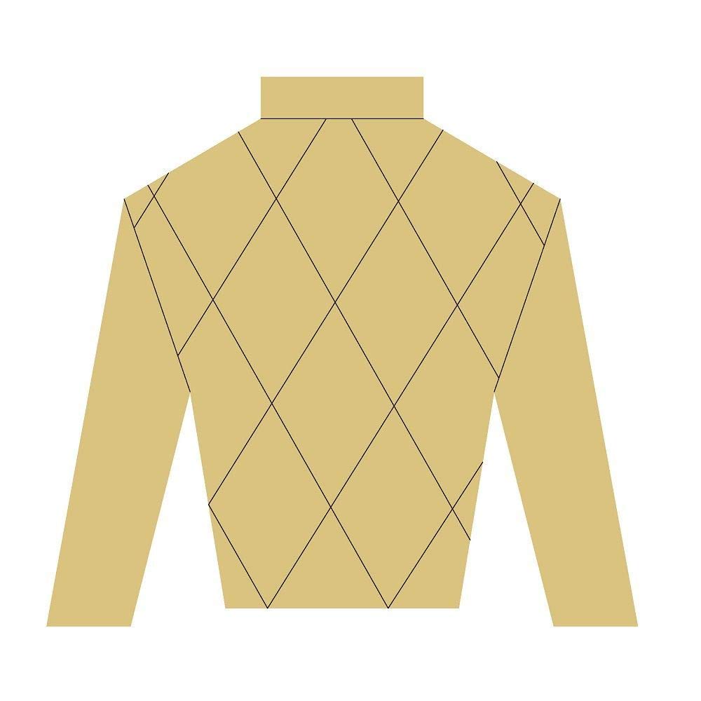 Jockey Silks Sewing Pattern