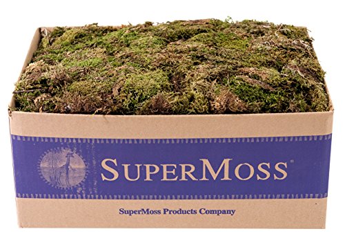 Snapklik.com : SuperMoss