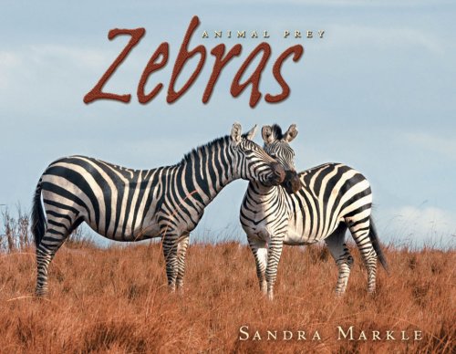 Zebras (Animal Prey): Markle, Sandra: 9780822560623: Amazon.com: Books