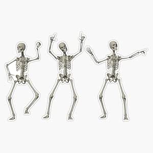 Amazon.com - skeleton stickers Sticker Bumper Sticker Vinyl Decal 5"