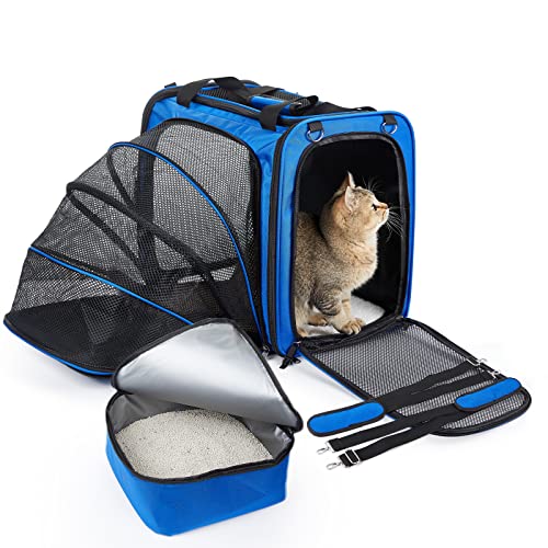 Cat Transport – The 15 best products compared - Wild Explained