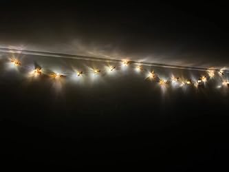 Amazon.com: Impress Life Pet Theme Decorative String Lights, 10ft 30 ...