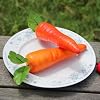 Artibetter 12pcs Artificial Carrots Simulation Easter Carrots Fall ...
