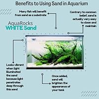 AquaRocks Premium White Sand for Aquarium, Terrarium, Fish Tank ...