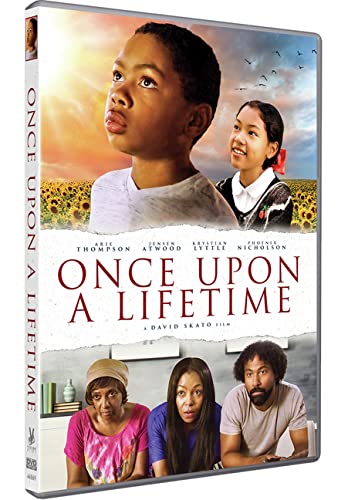 Amazon.com: Once Upon a Lifetime [DVD] : David Skato, Arie Thompson ...