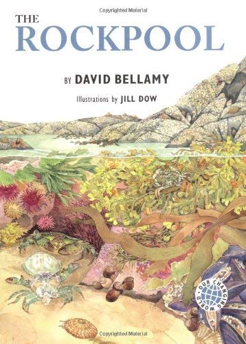 The Rockpool: Buy Online at Best Price in Egypt - Souq is now Amazon.eg
