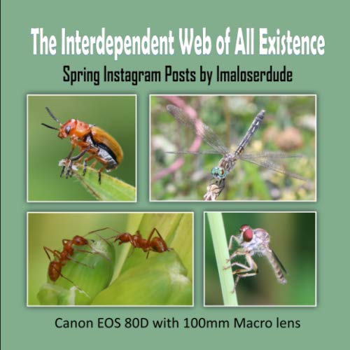 The Interdependent Web of All Existence: Spring Instagram Posts by Imaloserdude (Canon EOS 80D ...