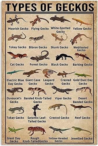 Leopard Gecko Morphs Poster